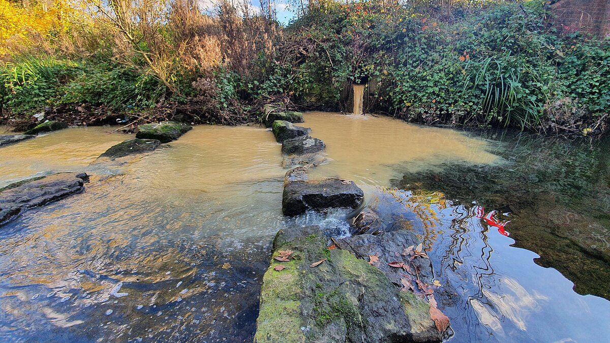 Liberal Democrats call for protected status for rivers in Leeds North ...